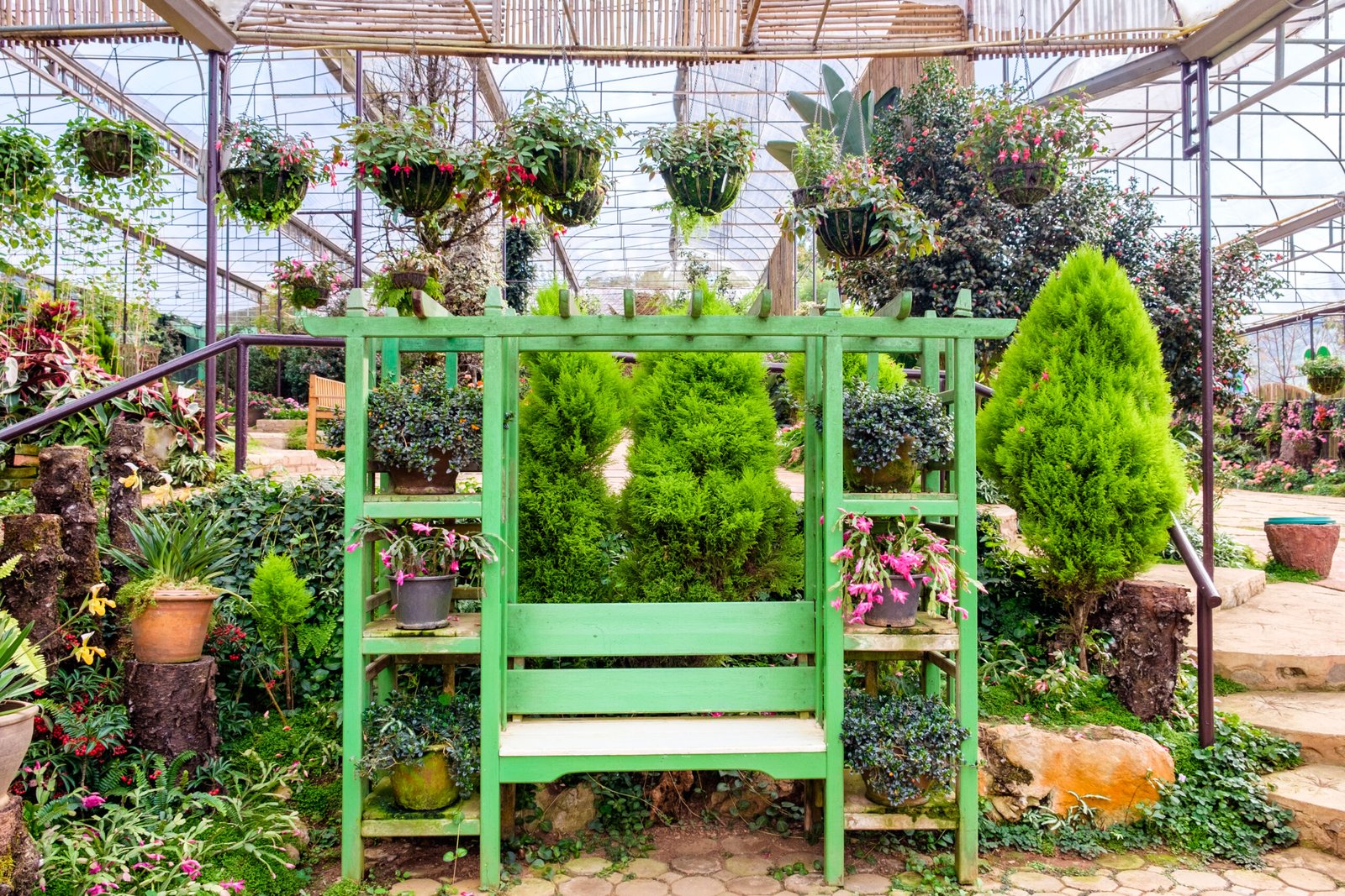 Healthy Plant Buying Guide for Gardens & Landscapes in Kadiyam